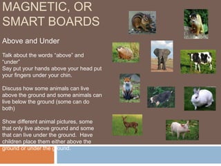 Underground Animals | PPTX