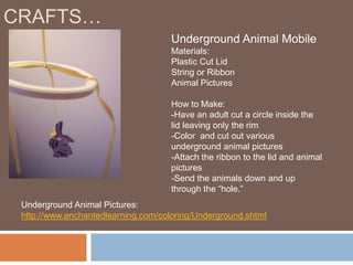 Underground Animals | PPTX