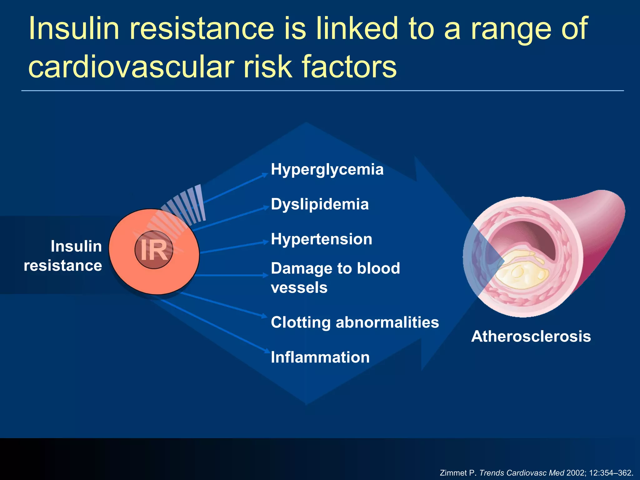 Underlying pathophysiology in diabetes | PPT