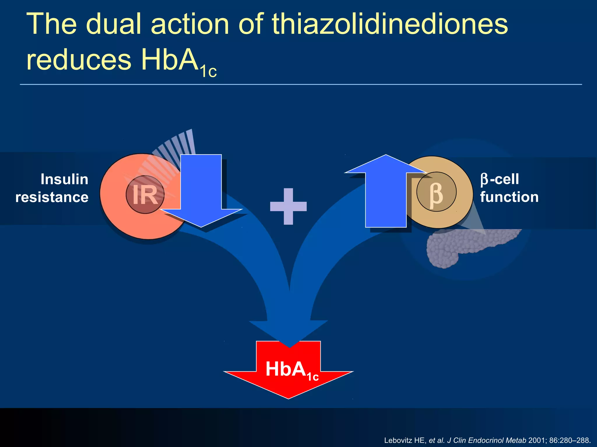 Underlying pathophysiology in diabetes | PPT