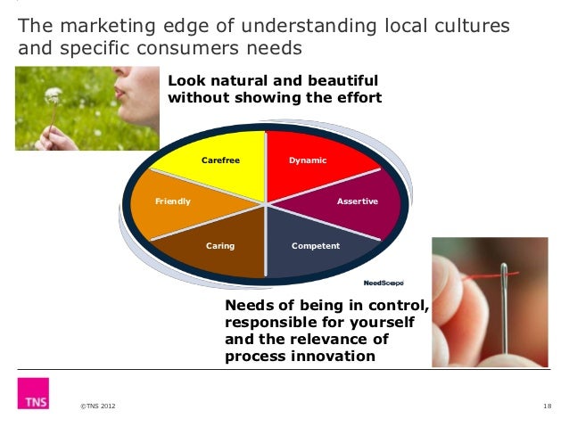 Understanding_Asian_Trends_through_Needscope--Louise_Fu,TNS