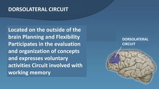 Understand brain leo | PPTX