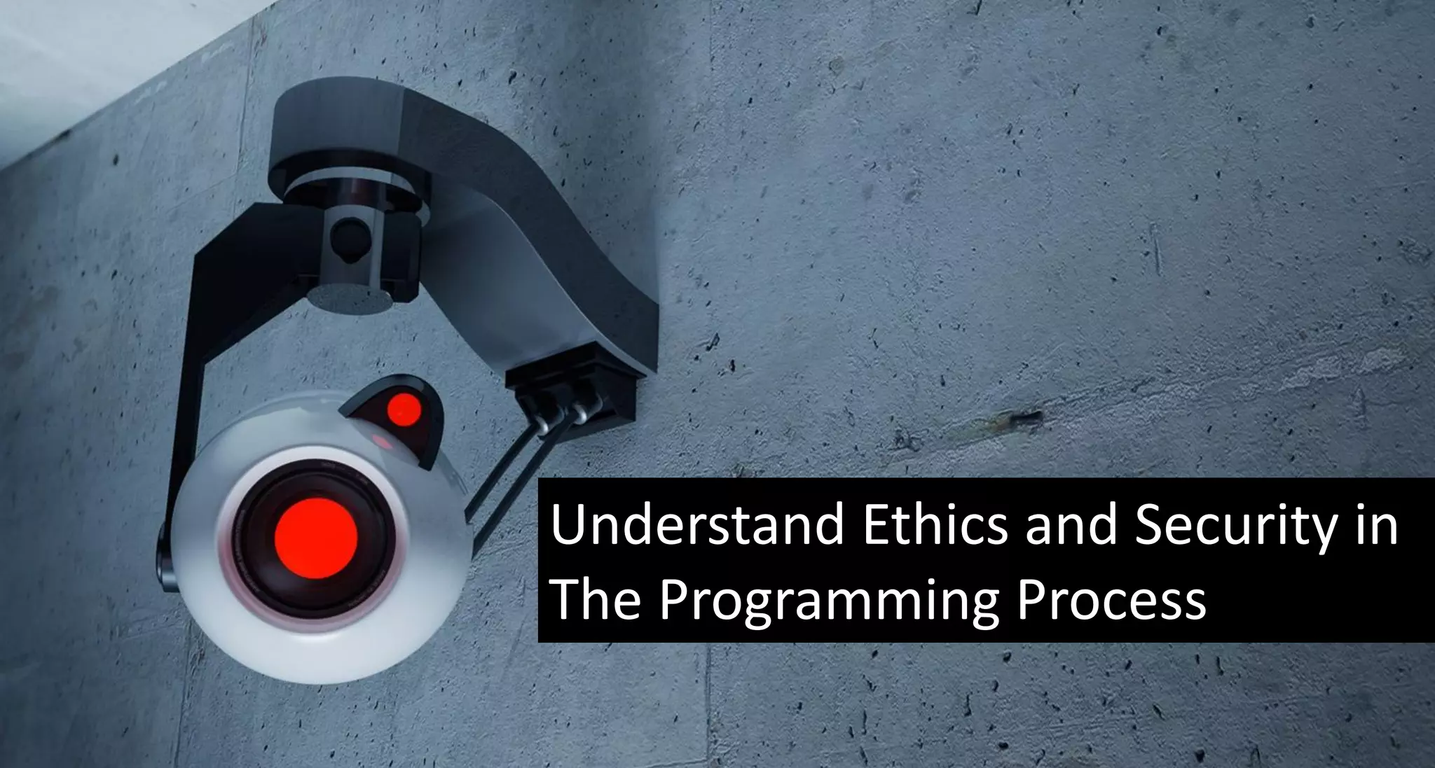 Understand Ethics and Security in the Programming Process | PDF