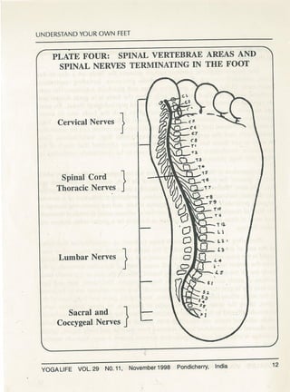 Understanding your own feet | PDF
