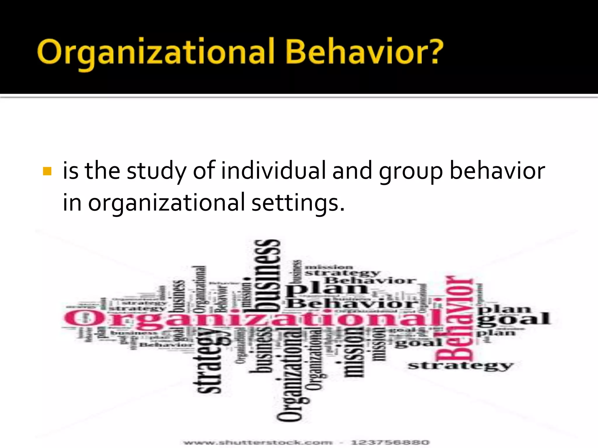 Understanding & Managing Organizational Behavior | PPTX
