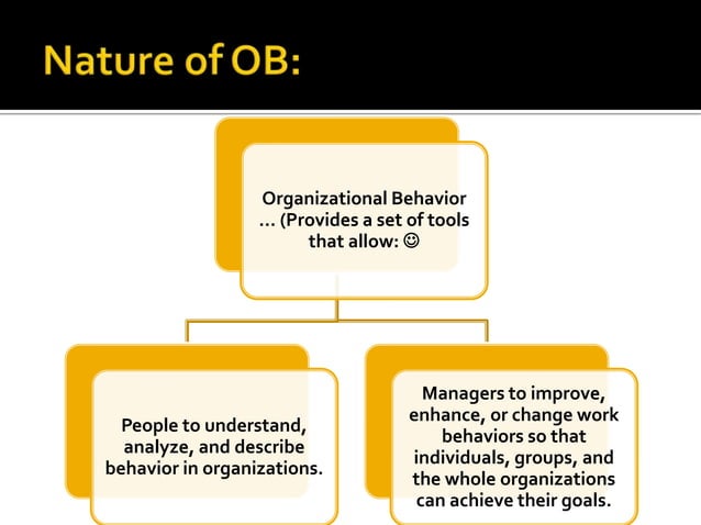 Understanding & Managing Organizational Behavior | PPT