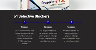 Alpha Blockers: Mechanisms and Clinical Applications | PDF