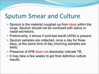understanding-and-preventing-tuberculosis.ppt
