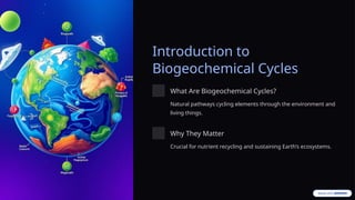 Understanding-Biogeochemical-Cycles-in-the-Ecosystem.pptx