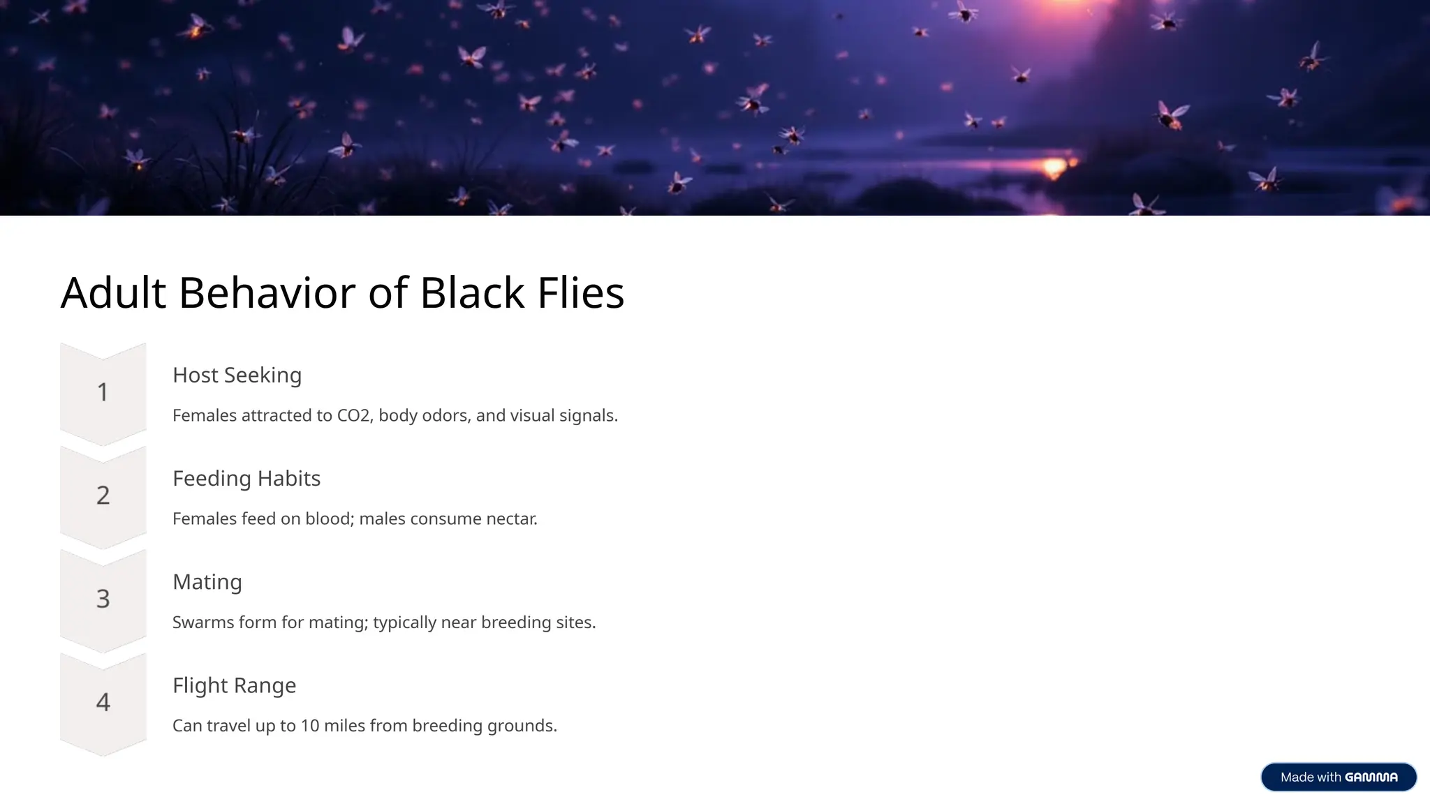 Understanding-Black-Flies-Simuliidae.pptx