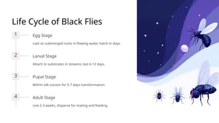 Understanding-Black-Flies-Simuliidae.pptx