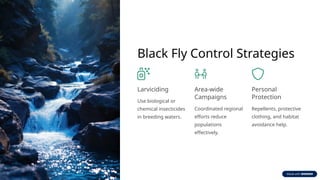 Understanding-Black-Flies-Simuliidae.pptx