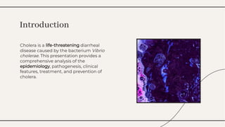 understanding-cholera-a-comprehensive-analysis.pdf
