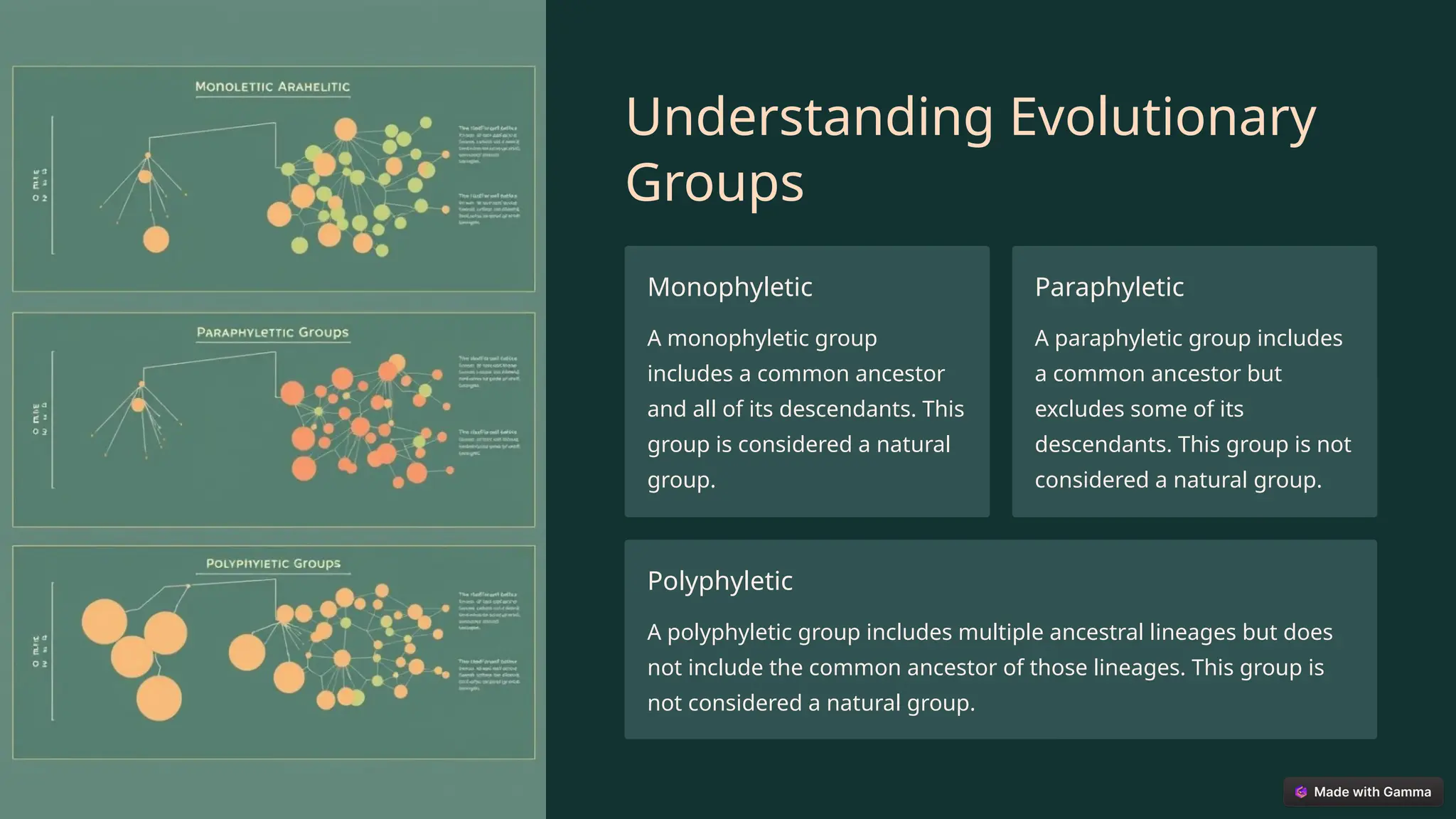 Understanding-Cladistics-A-Guide-to-Phylogenetic-Analysis (1).pptx