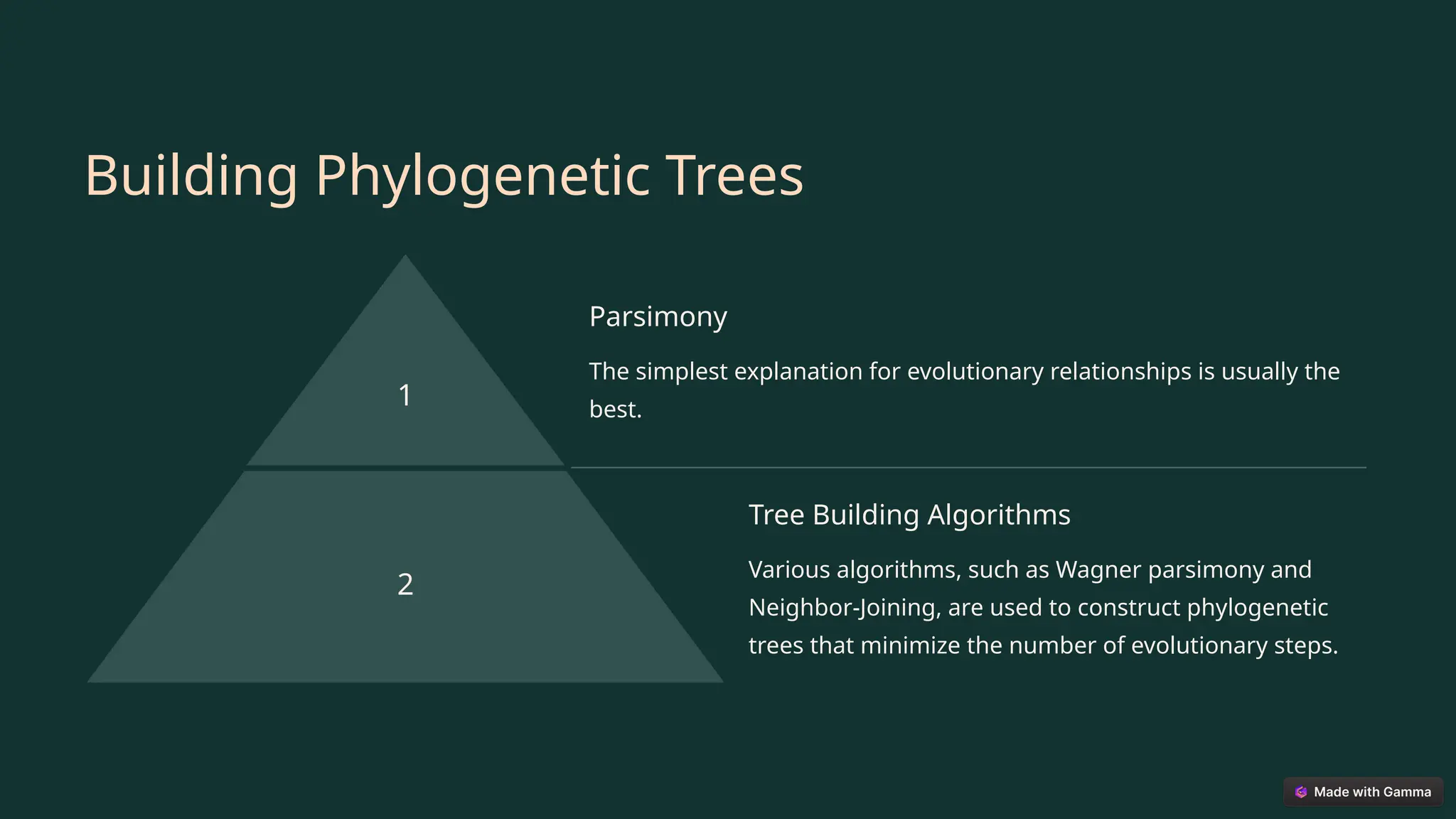 Understanding-Cladistics-A-Guide-to-Phylogenetic-Analysis (1).pptx