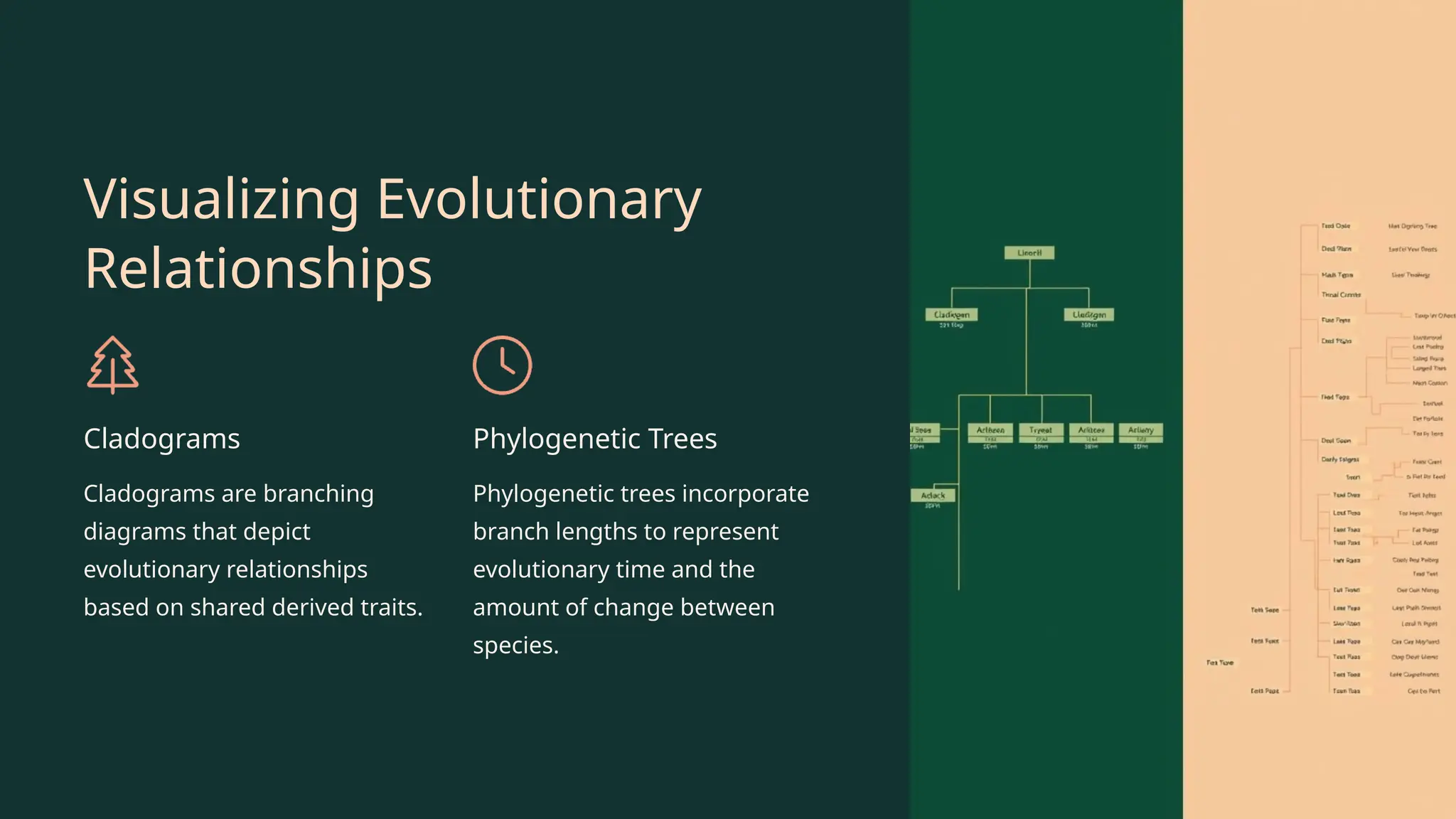 Understanding-Cladistics-A-Guide-to-Phylogenetic-Analysis (1).pptx