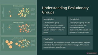 Understanding-Cladistics-A-Guide-to-Phylogenetic-Analysis (1).pptx