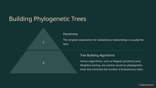 Understanding-Cladistics-A-Guide-to-Phylogenetic-Analysis (1).pptx
