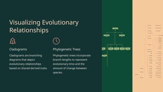 Understanding-Cladistics-A-Guide-to-Phylogenetic-Analysis (1).pptx