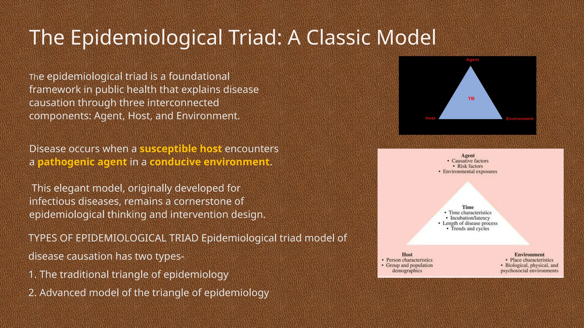 Understanding-Disease-Causation-Epidemiological-Triad-and-Multifactorial-Models.pptx