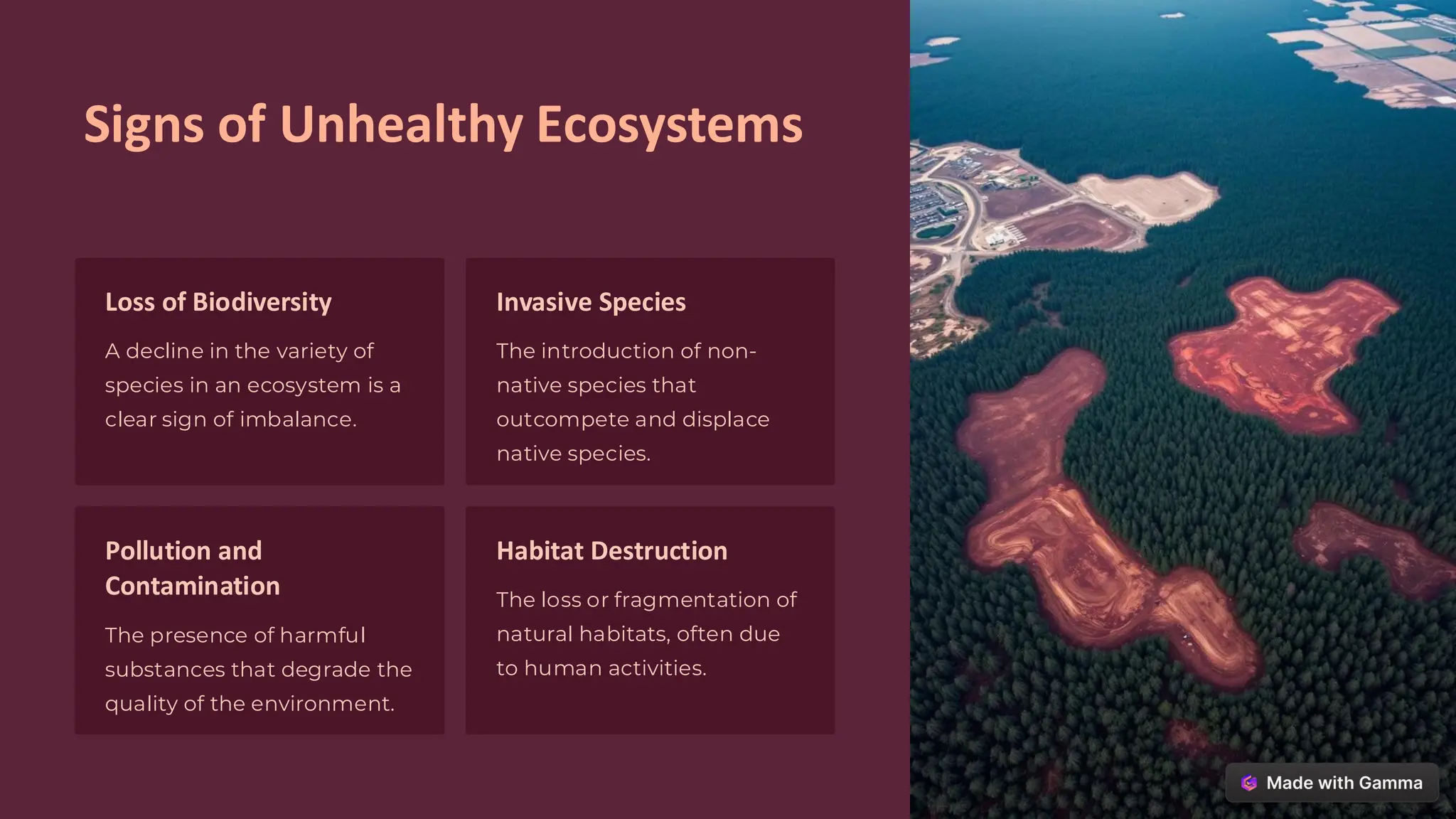 Environmental Science- Understanding-Ecosystems.pdf