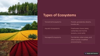 Environmental Science- Understanding-Ecosystems.pdf