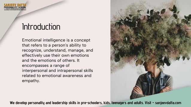 Understanding Emotional Intelligence | PPTX