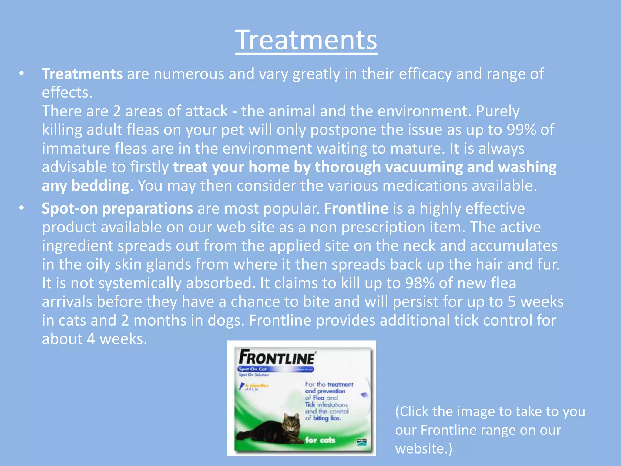 Understanding Fleas | PPTX