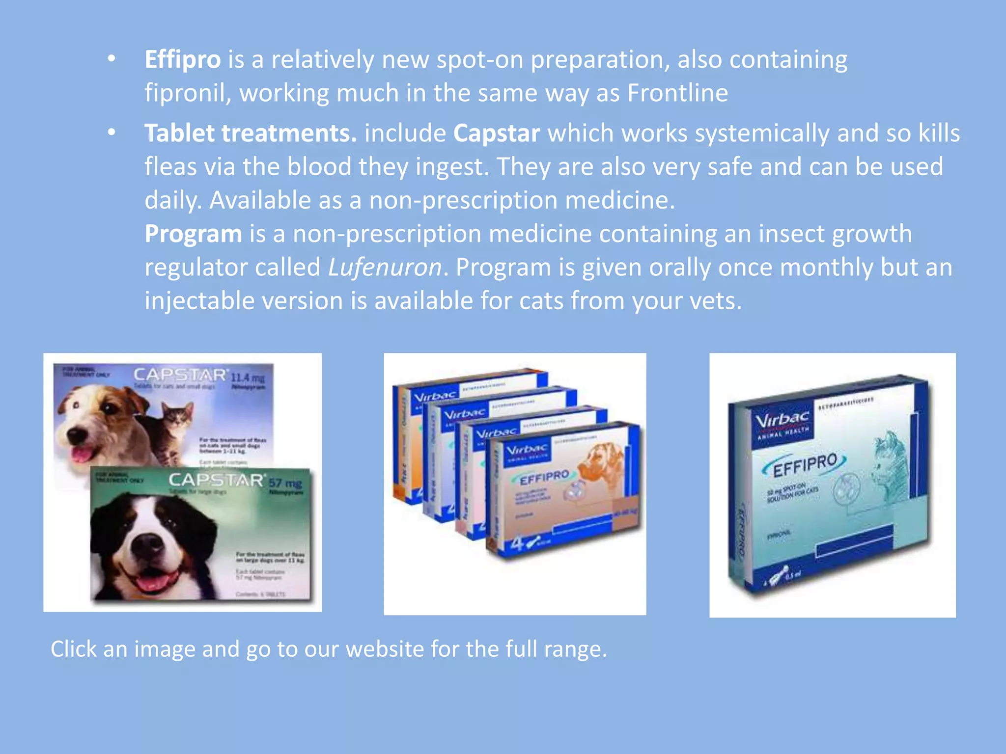 Understanding Fleas | PPTX