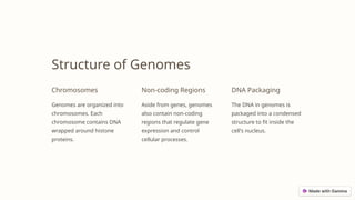 Understanding-Genomes.pptxgcccxffggugffd | PPTX
