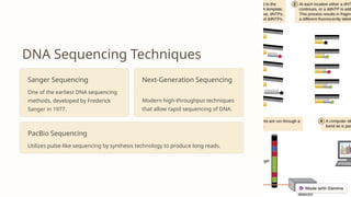 Understanding-Genomes.pptxgcccxffggugffd | PPTX