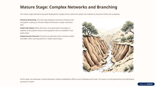 Understanding-Gully-Erosion-Stages-and-Classification.pptx