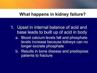 Understanding Kidney Failure and Dietary Modifications | PPT