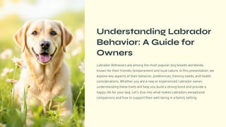 Understanding Labrador Behavior A Guide for Owners | PDF