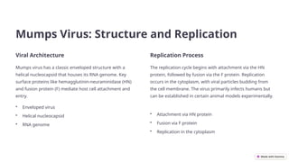 Understanding-Mumps-Pathogenesis-and-Clinical-Features-1.pptx