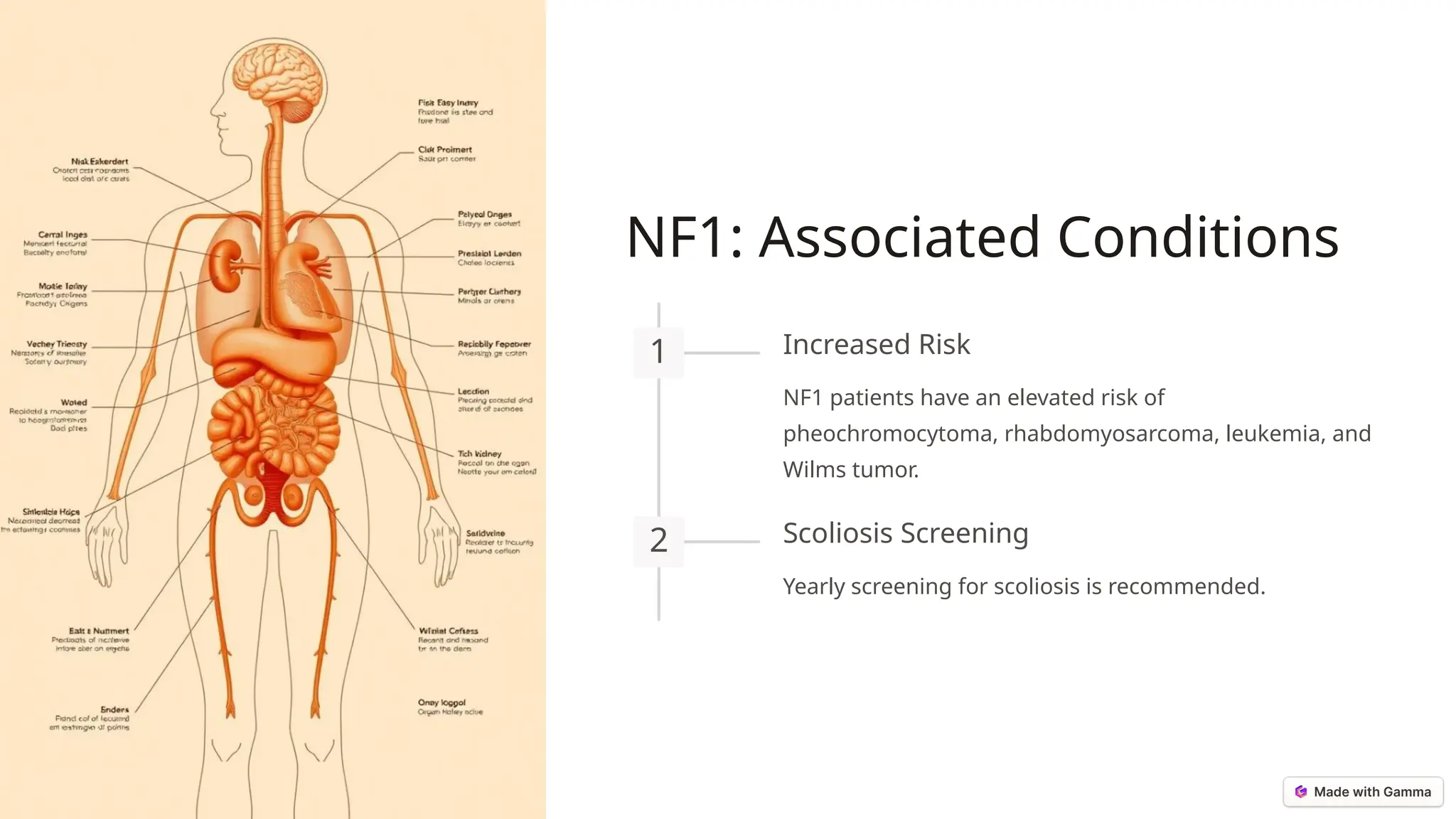 Understanding-Neurocutaneous-Syndromes.pptx