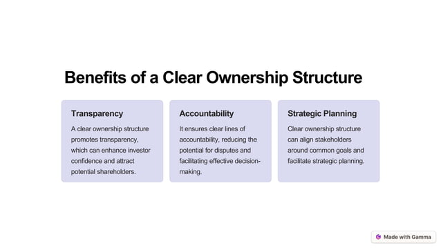 Understanding Ownership Structure ok.pptx | Business Accounting ...