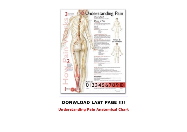 Understanding Pain Anatomical Chart