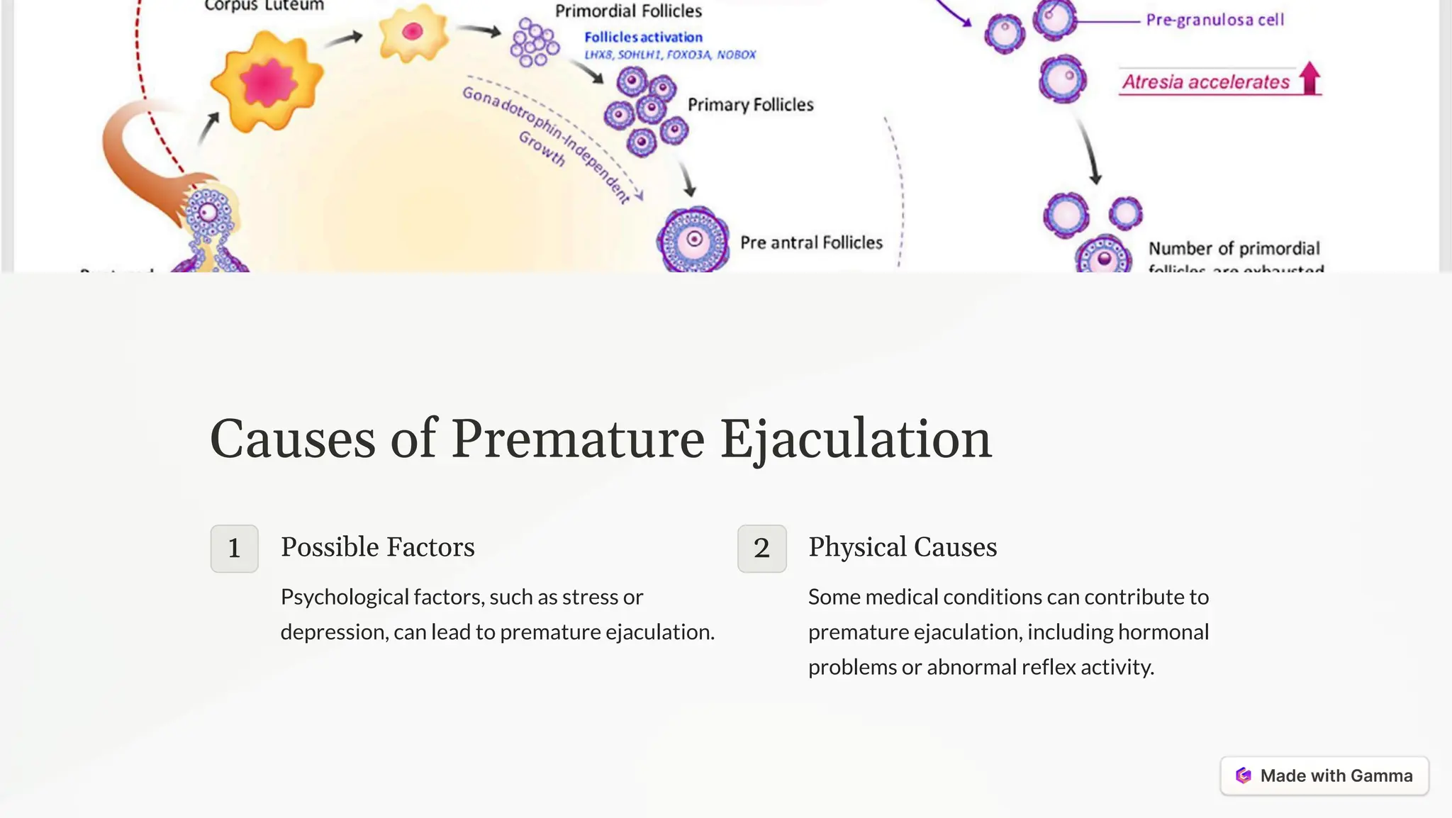Understanding-Premature-Ejaculation.pdf