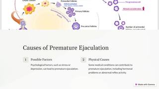 Understanding-Premature-Ejaculation.pdf