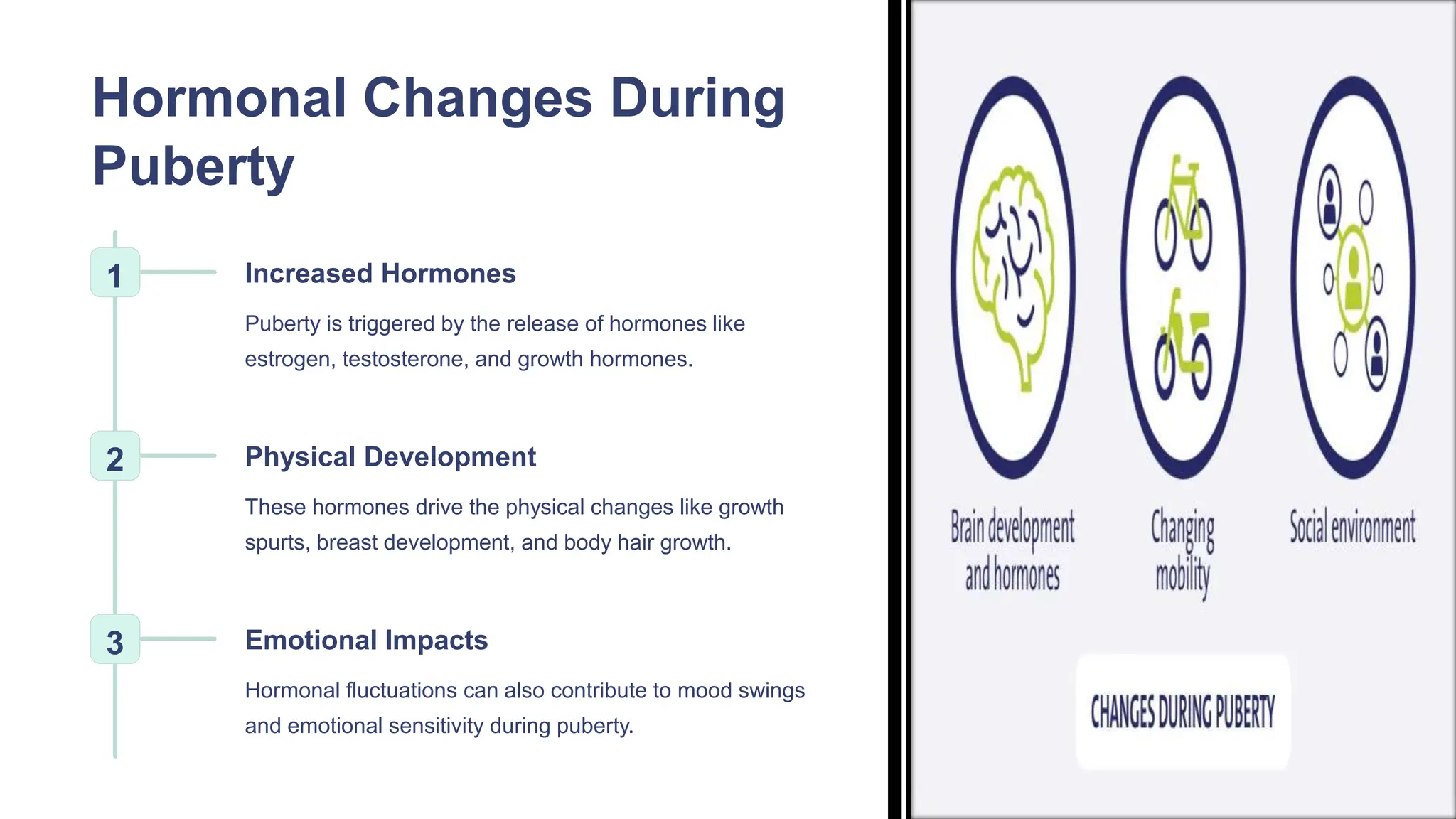 Understanding puberty in medicine -levtion | PPTX | Menopause ...