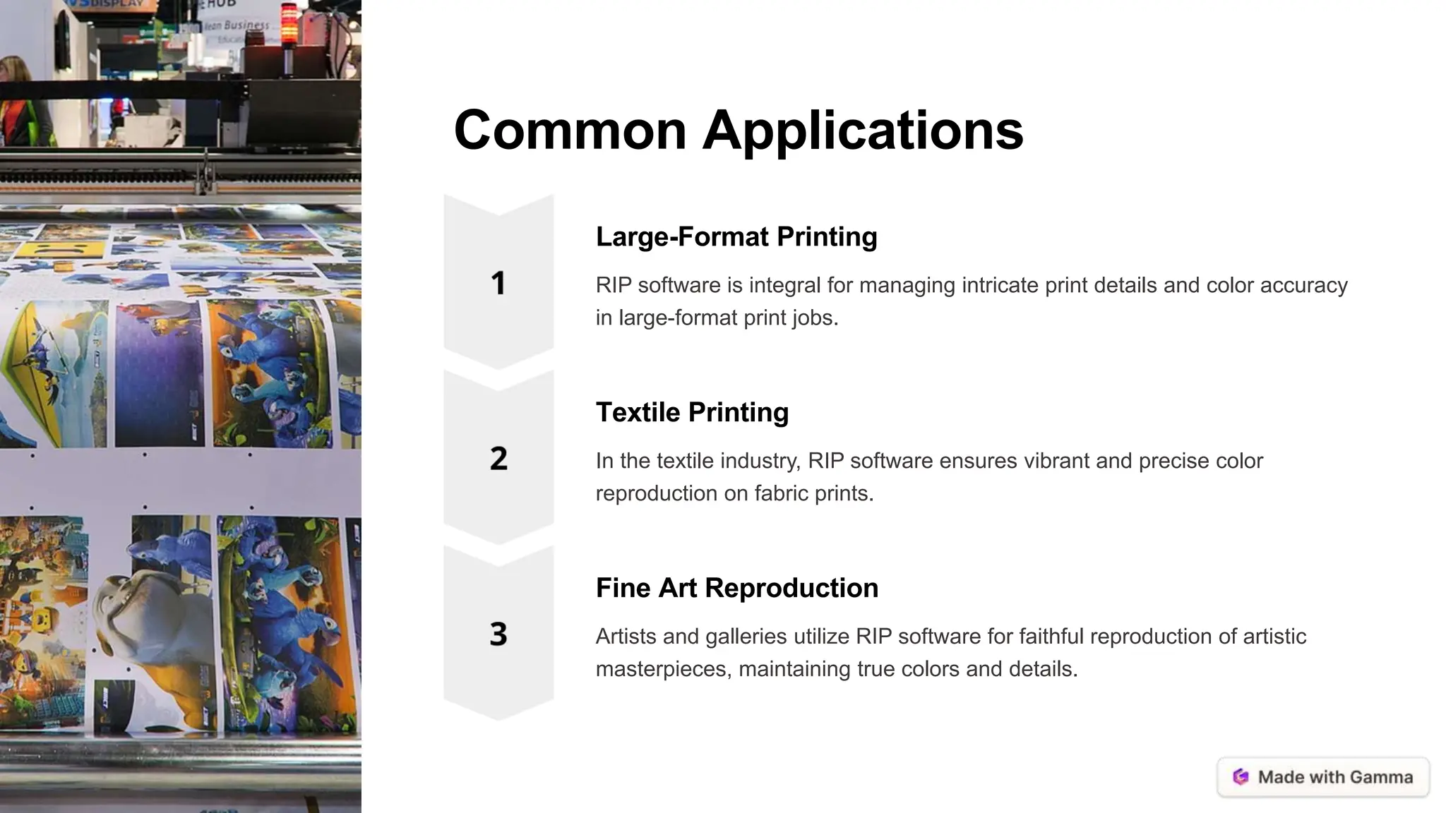Understanding RIP Software for Printers! | PPTX