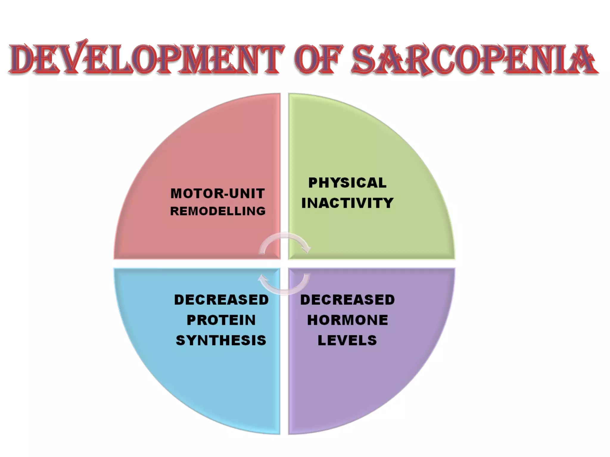 Understanding Sarcopenia | PPT