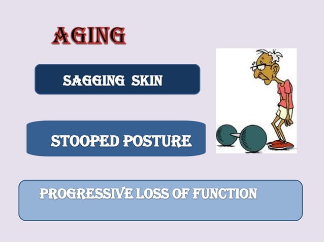 Understanding Sarcopenia | PPT | Endocrine and Metabolic Diseases ...