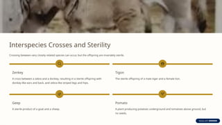 Understanding-Species-and-Classification.pptx