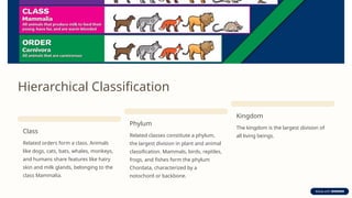 Understanding-Species-and-Classification.pptx