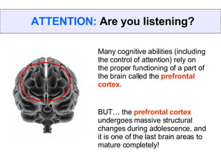 Understanding Teen Behaviour | PPT