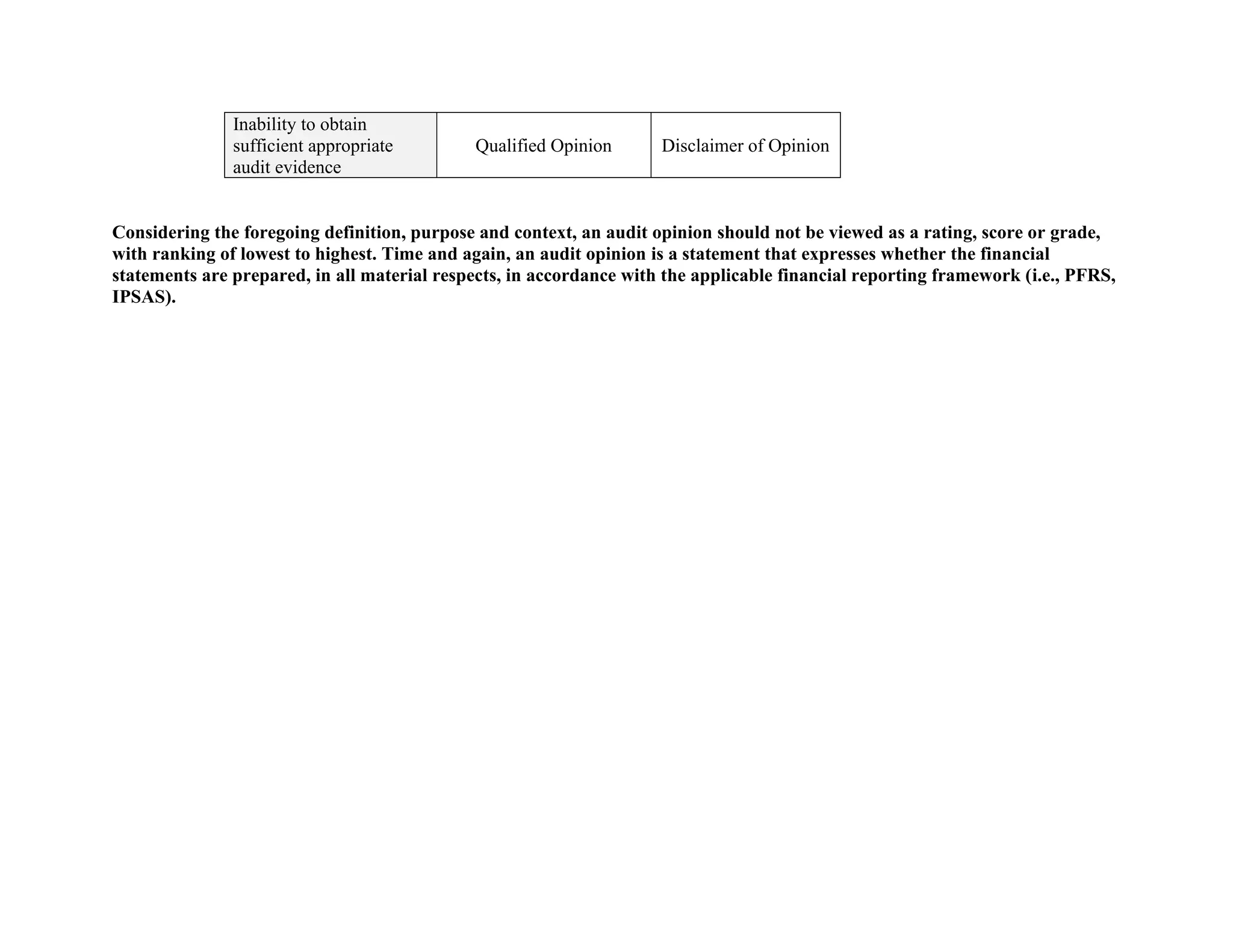 Audit Opinion | PDF