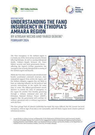 Understanding-the-Fano-Insurgency_final.pdf