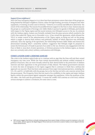 Understanding-the-Fano-Insurgency_final.pdf